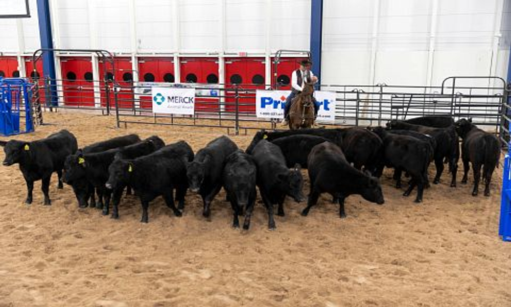 Cattle Industry Convention & NCBA Trade Show